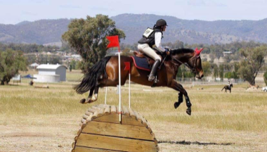 Welcome to elcomCMS | Australian Equine and Livestock Events Centre