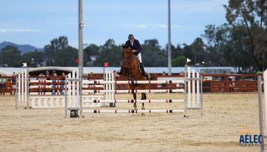 What's on | Australian Equine and Livestock Events Centre