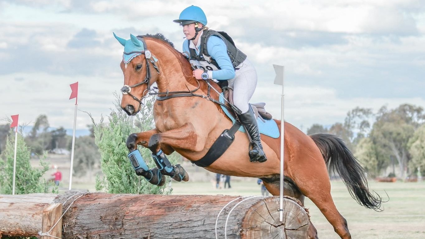 What's on | Australian Equine and Livestock Events Centre