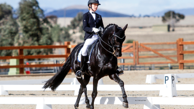 Tamworth Dressage Club Official Competition | Australian Equine and ...