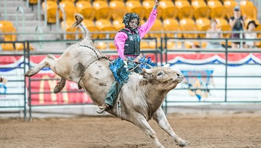 Tamworth Rodeo Round Up | Australian Equine and Livestock Events Centre
