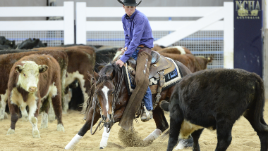 2022 National Cutting Horse Association of Australia Futurity ...