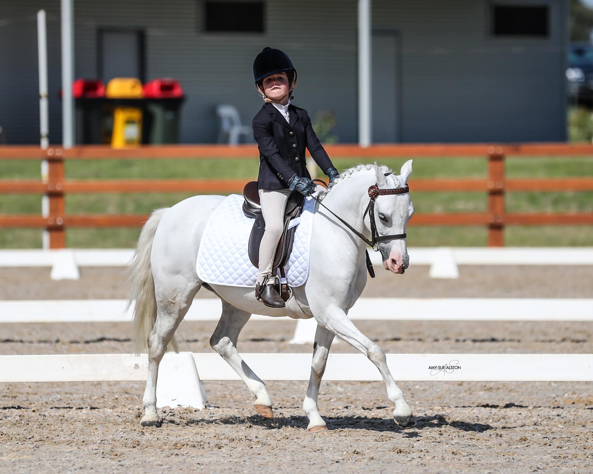 2023 Tamworth Dressage Club Competition | Australian Equine and ...