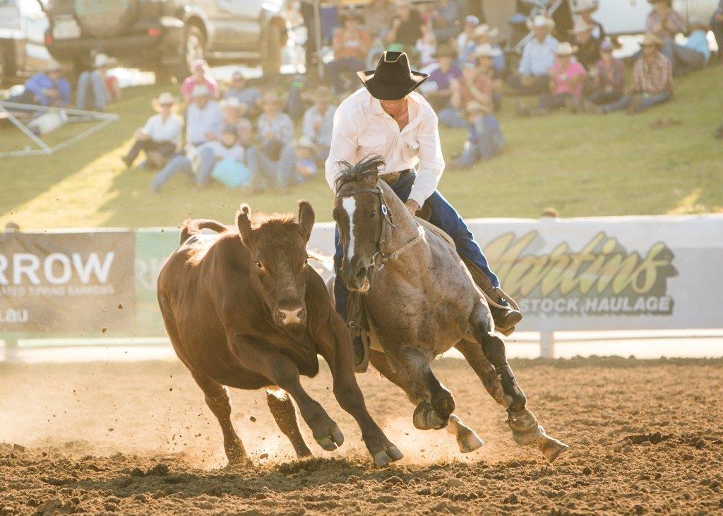 2023 Nutrien Classic Campdraft and Sale | Australian Equine and ...