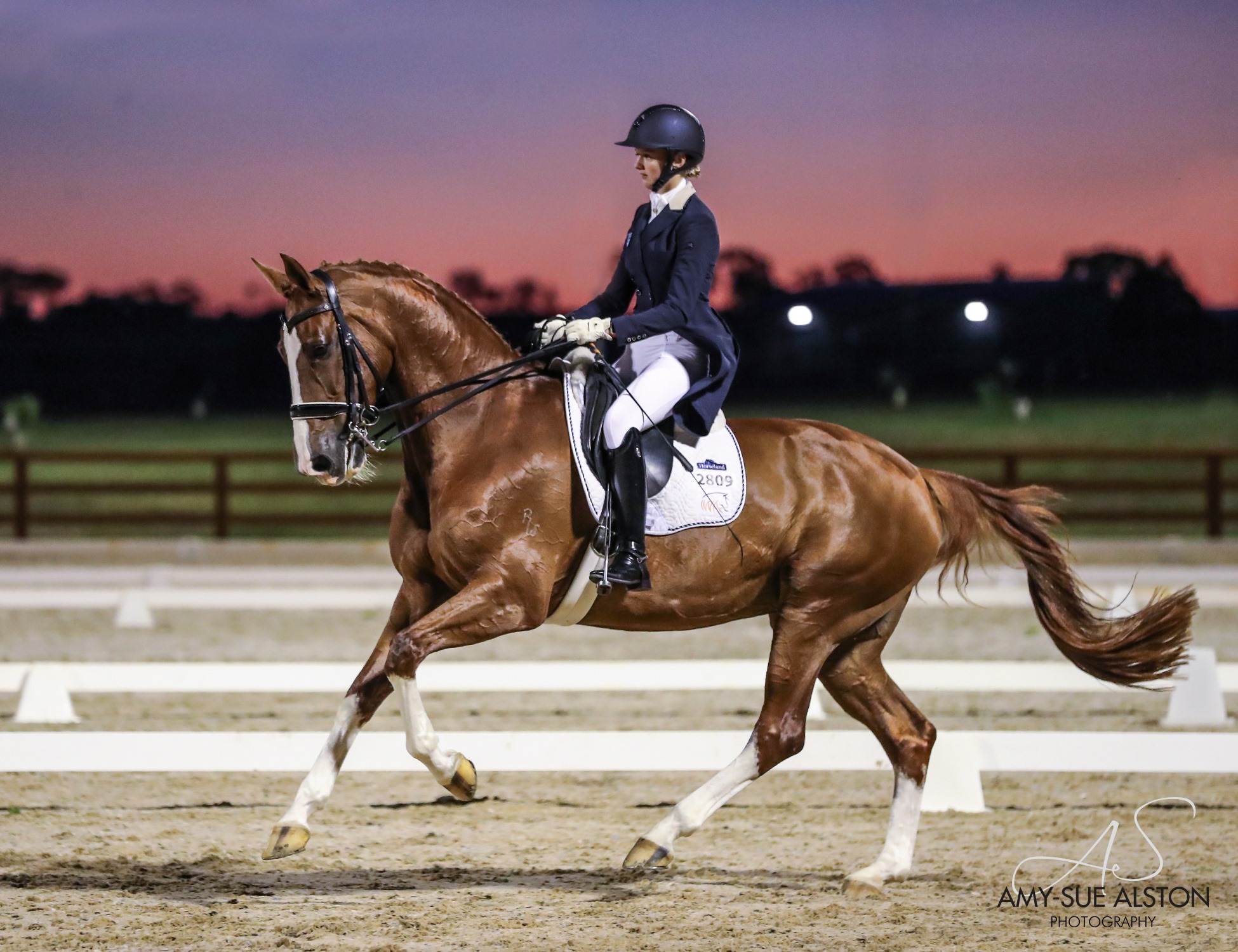 2024 Tamworth Dressage Club Championships | Australian Equine and ...