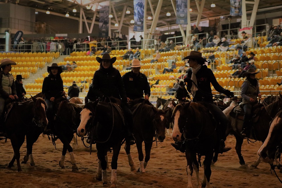 Home | Australian Equine and Livestock Events Centre